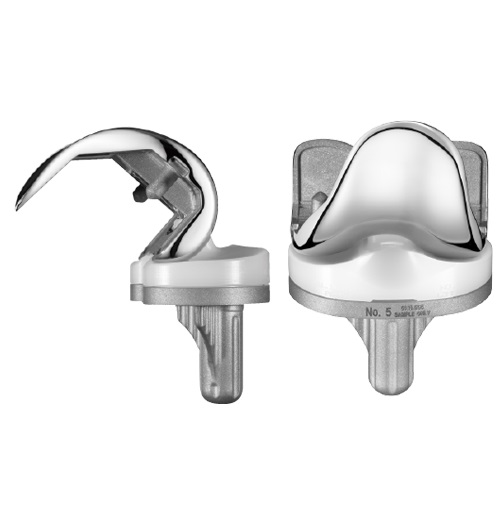 CORENTEC Lospa Knee System