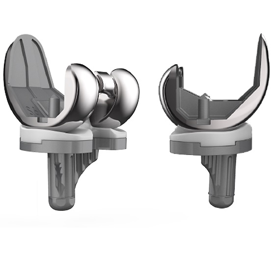 CORENTEC EXULT Knee System