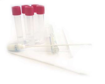 BioMaxima - SARS-COV-2 - SARS-COV-2 Antigen Rapid Test Kit by ...