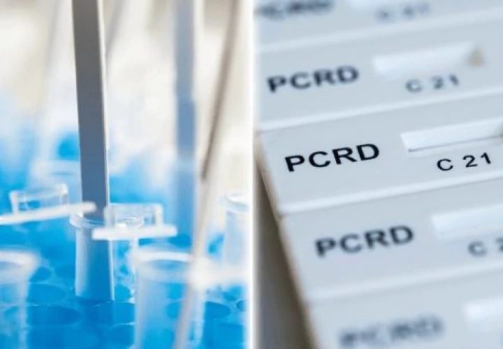 Abingdon PCRD and PCRD Flex Nucleic Acid Lateral Flow Tests
