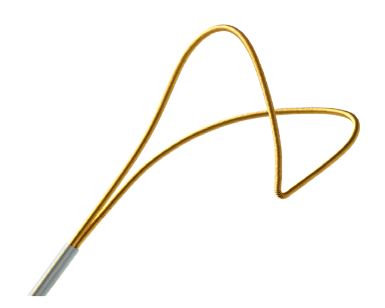 Endosmart - SNARE - Retrieval Devices - Vascular Surgery ...