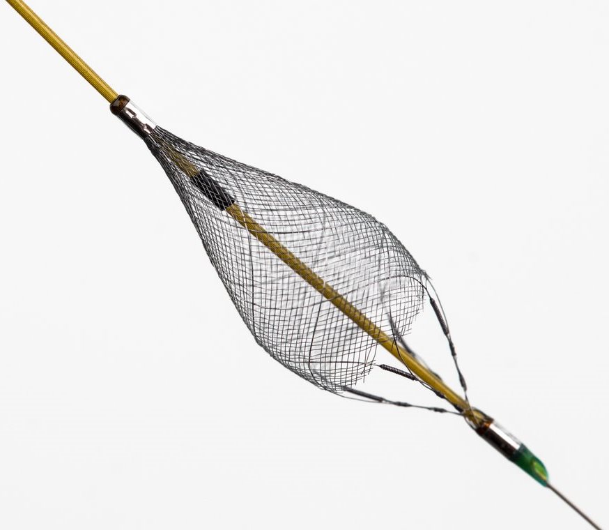 Empro Embolic Protection System