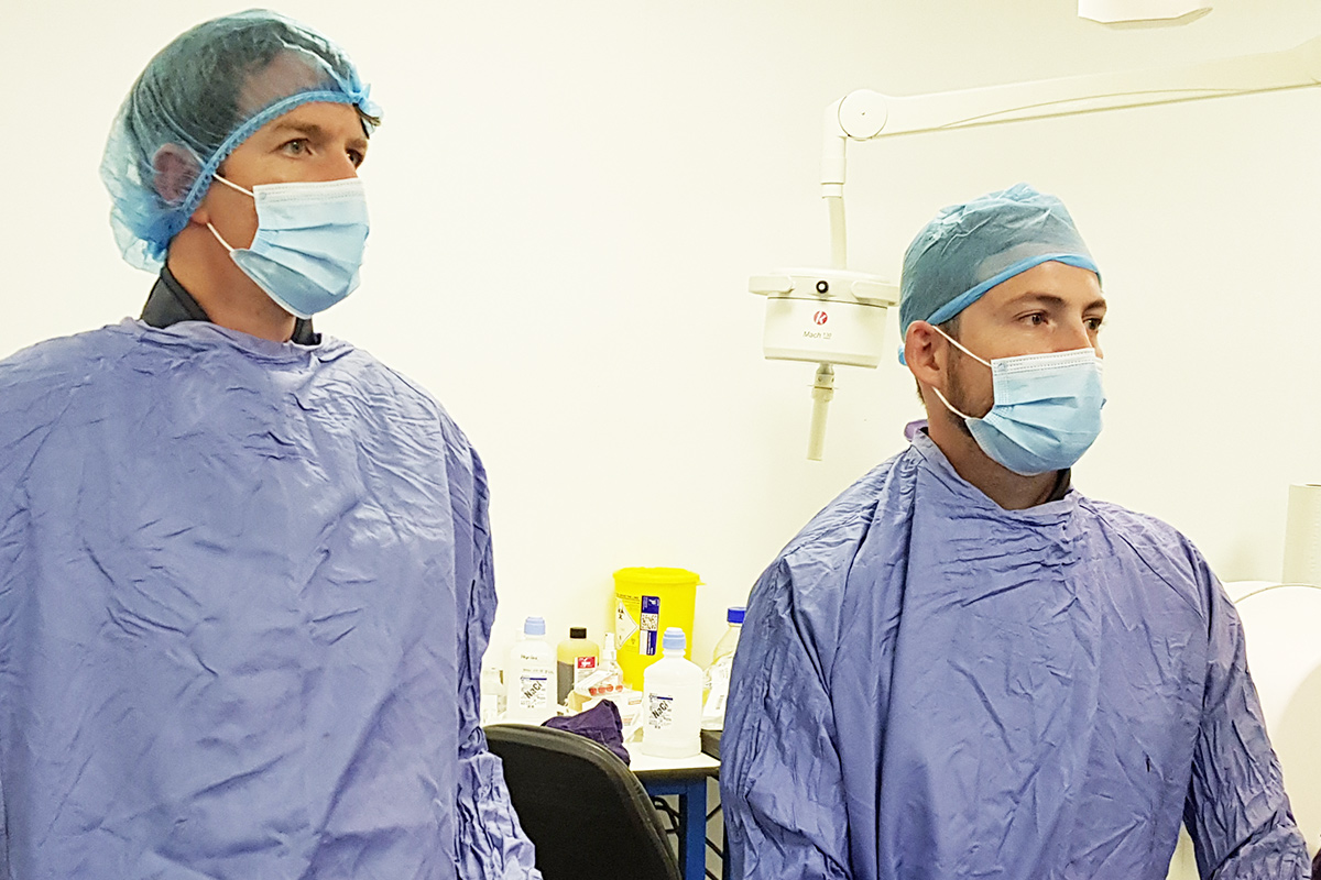 Echopoint - Technology - Microcatheters With Integrated Fiber ...