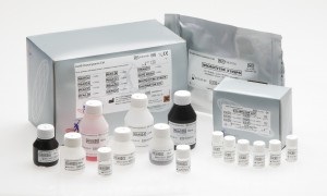 Axis-Shield FHCY100 Homocysteine Enzyme Immunoassay (EIA) Assay Kit