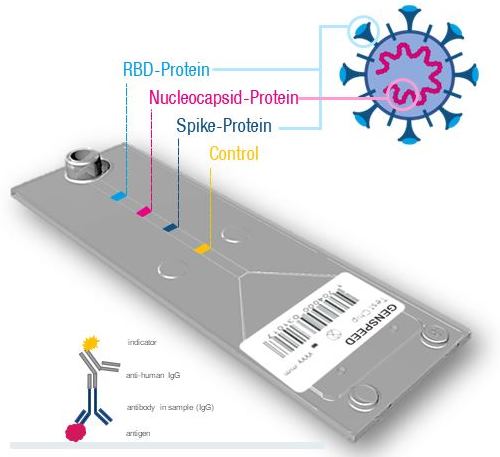 Genspeed Biotech - COVID-19 IgG xPOC - COVID-19 - Rapid ...