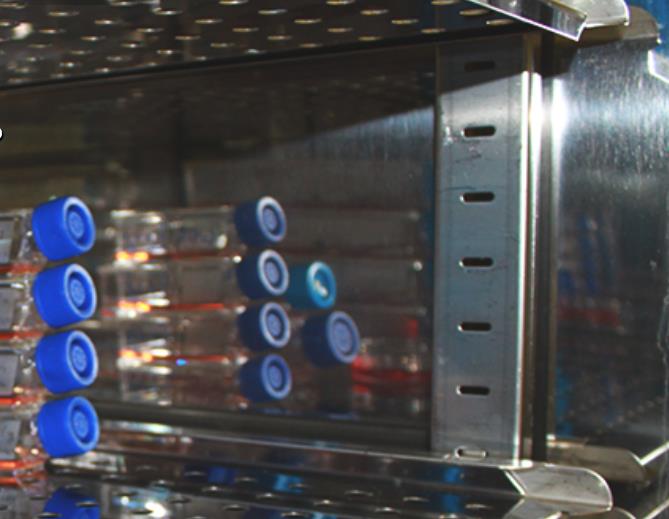 FluGen - M2SR - Single Replication Live Virus Vaccine by ...