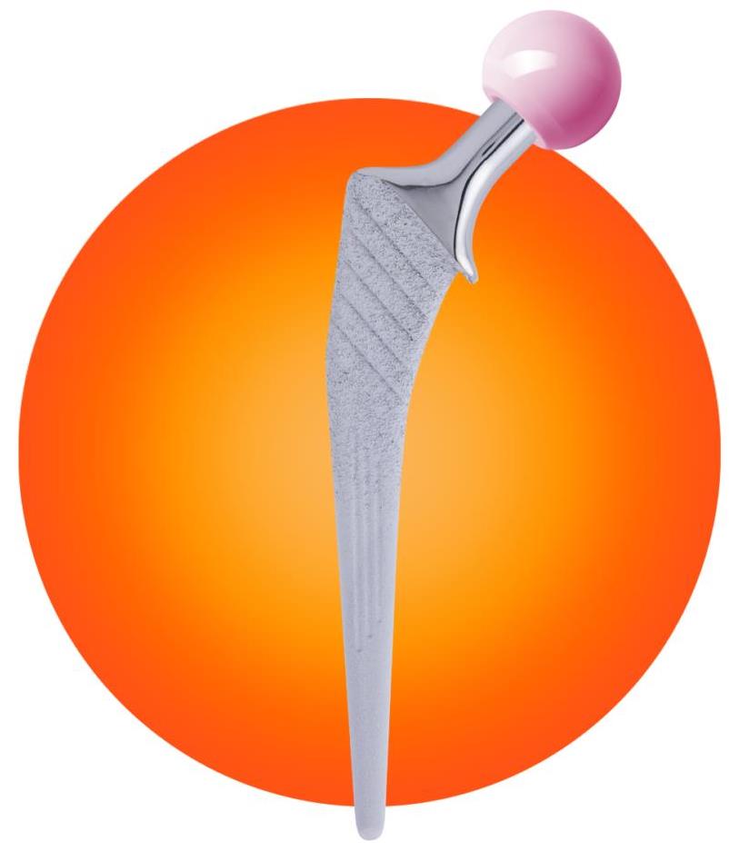 Biotechni Filler-3ND Femoral Stem For Total Hip Arthroplasty And ...