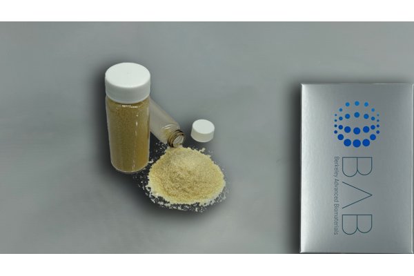 BAB - DBM - Allografts - Demineralized Bone Matrix Powder by ...