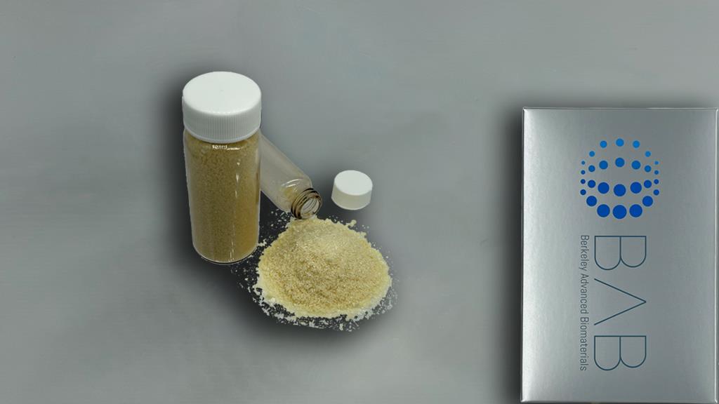 BAB - DBM - Allografts - Demineralized Bone Matrix Powder by ...
