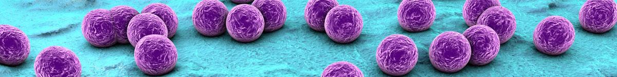 Destiny Pharma - XF-73 - Pipeline - Dermal Infections by ...