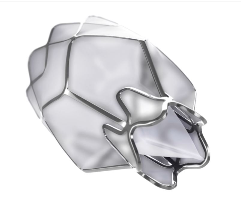Zephyr Minimally Invasive Bronchoscopic Procedure