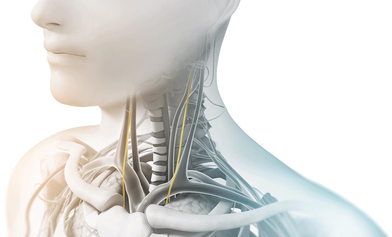 Vagus Nerve Stimulation Non-Invasively (nVNS) Therapy | electroCore, Inc.