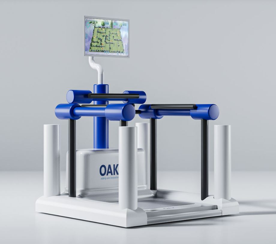 OAK Innovative System For The Assessment And Prevention Of The Risk Of ...