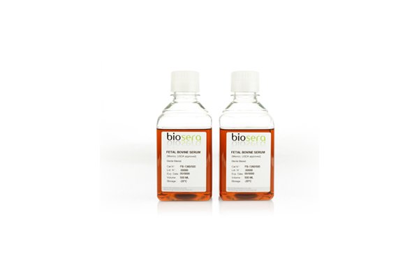 Biosera Fb 1001 Fetal Bovine Serum Fbs