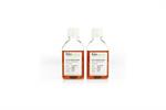 Biosera FB-1365 Fetal Bovine Serum (FBS)