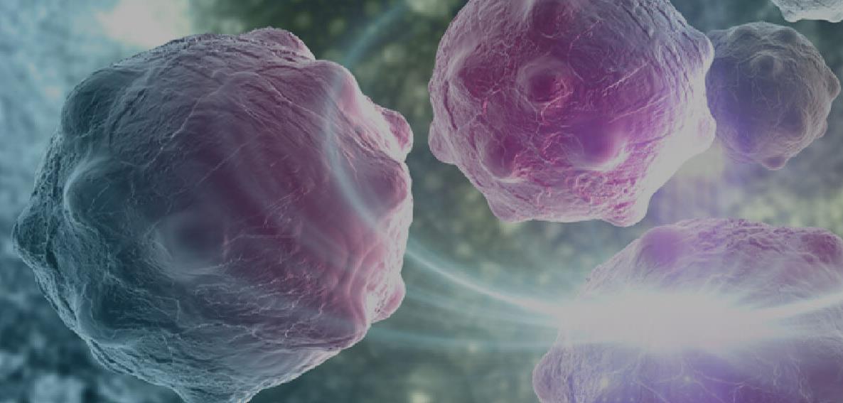 CD Biosciences Launches Substrate-Chromogens for Immunohistochemistry