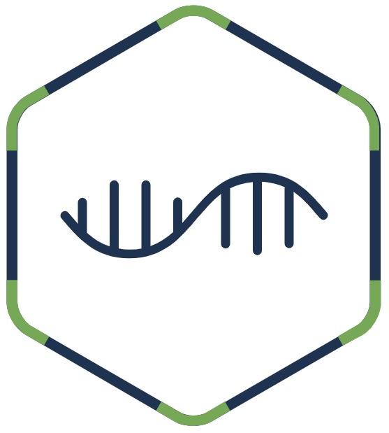 ViGeneron vgAAV Vector Platform