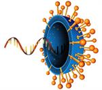 Chimeron ChaESAR Technology for the Development of First-in-Class RNA Drugs
