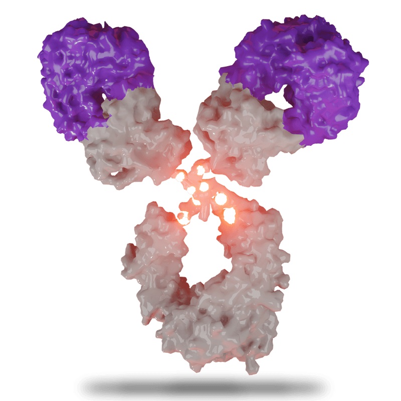 Systimmune - BL-M07D1-ADC - Antibody Drug Conjugates (ADC)