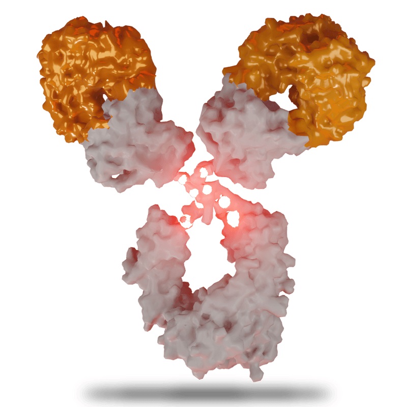 Systimmune - BL-M02D1-ADC - Antibody Drug Conjugates (ADC) Molecules By ...