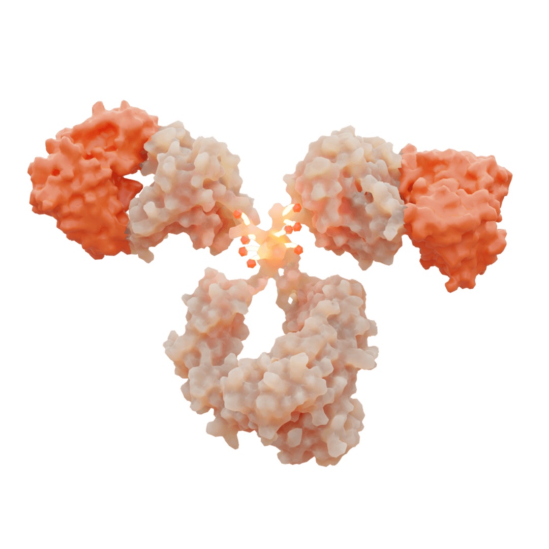 Systimmune - BL-M11D1-ADC - Antibody Drug Conjugates (ADC)