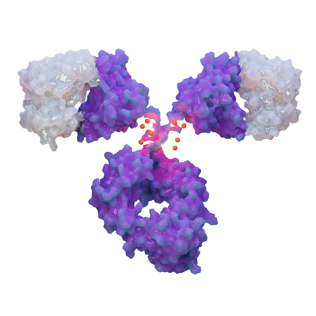 Systimmune - BL-M05D1 - Antibody Drug Conjugates (ADC)