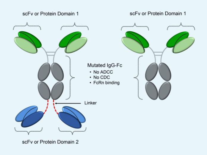 ADAPTIR - Technology - Modular And Flexible Technology By Aptevo ...