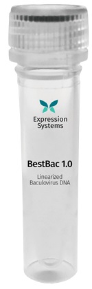 Bestbac Linearized DNA - Linearized Baculovirus DNA For Cotransfection