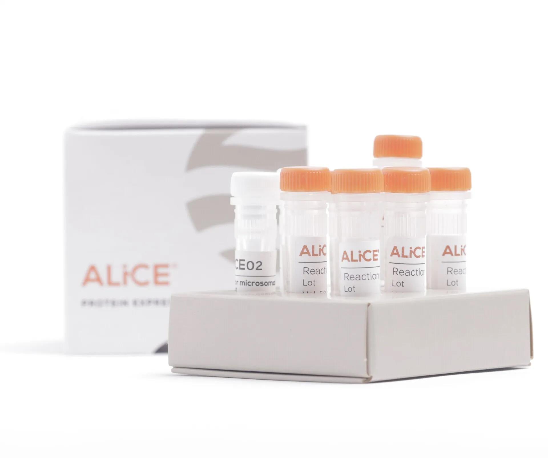 Alice - Protein Expression Kits By Leniobio Gmbh