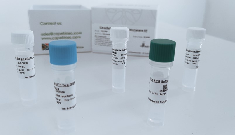 CapeSprint Taq DNA Polymerase Kit