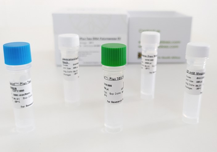 CapeSprint Plus Taq DNA Polymerase Kit