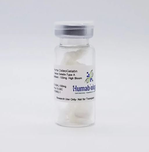 Huma Osteogelatin - ~300G (BGHL) - Human Gelatin - Human ...