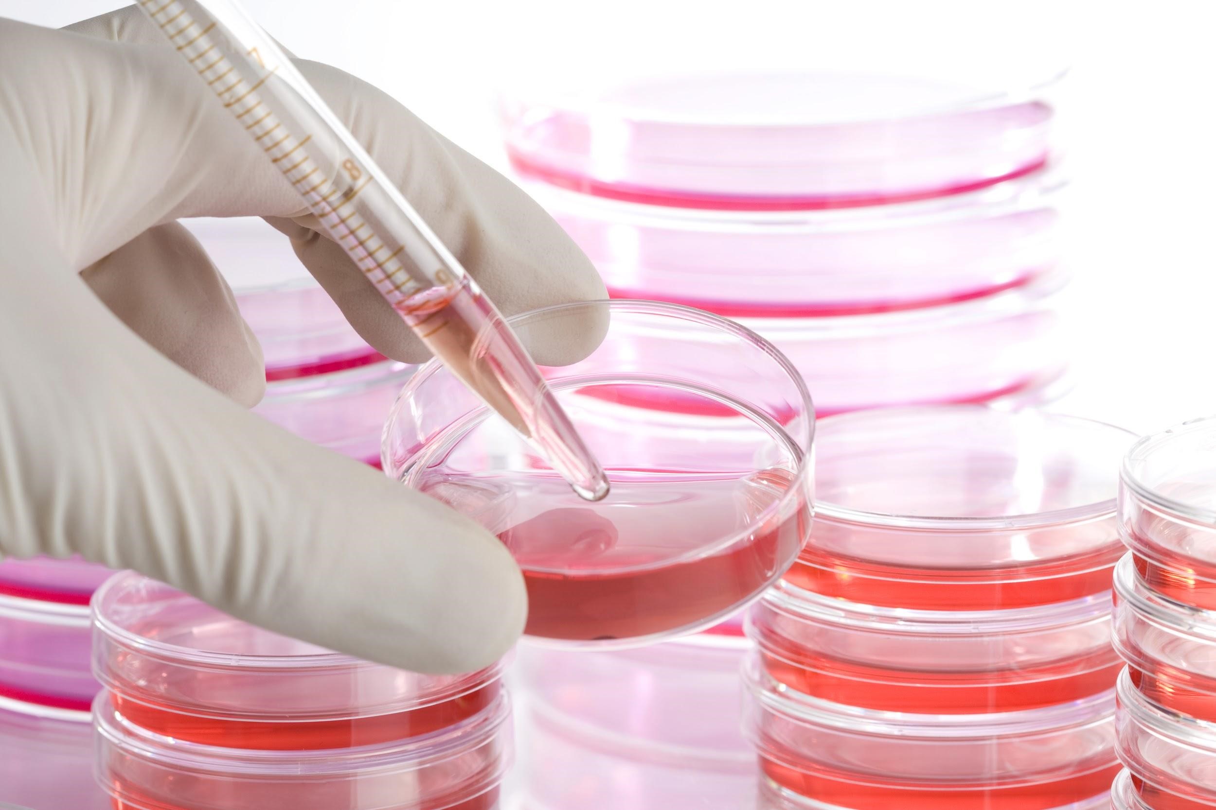 Inovarion - Cellular And Molecular Biology Technology By Inovarion