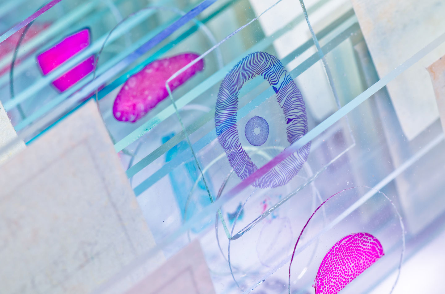 Inovarion - Pathophysiology, Metabolism, Nutrition by Inovarion