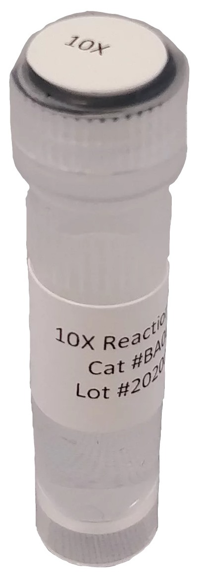 Lectenz - BA0501 - 10X - Buffers and Accessories - Reaction ...