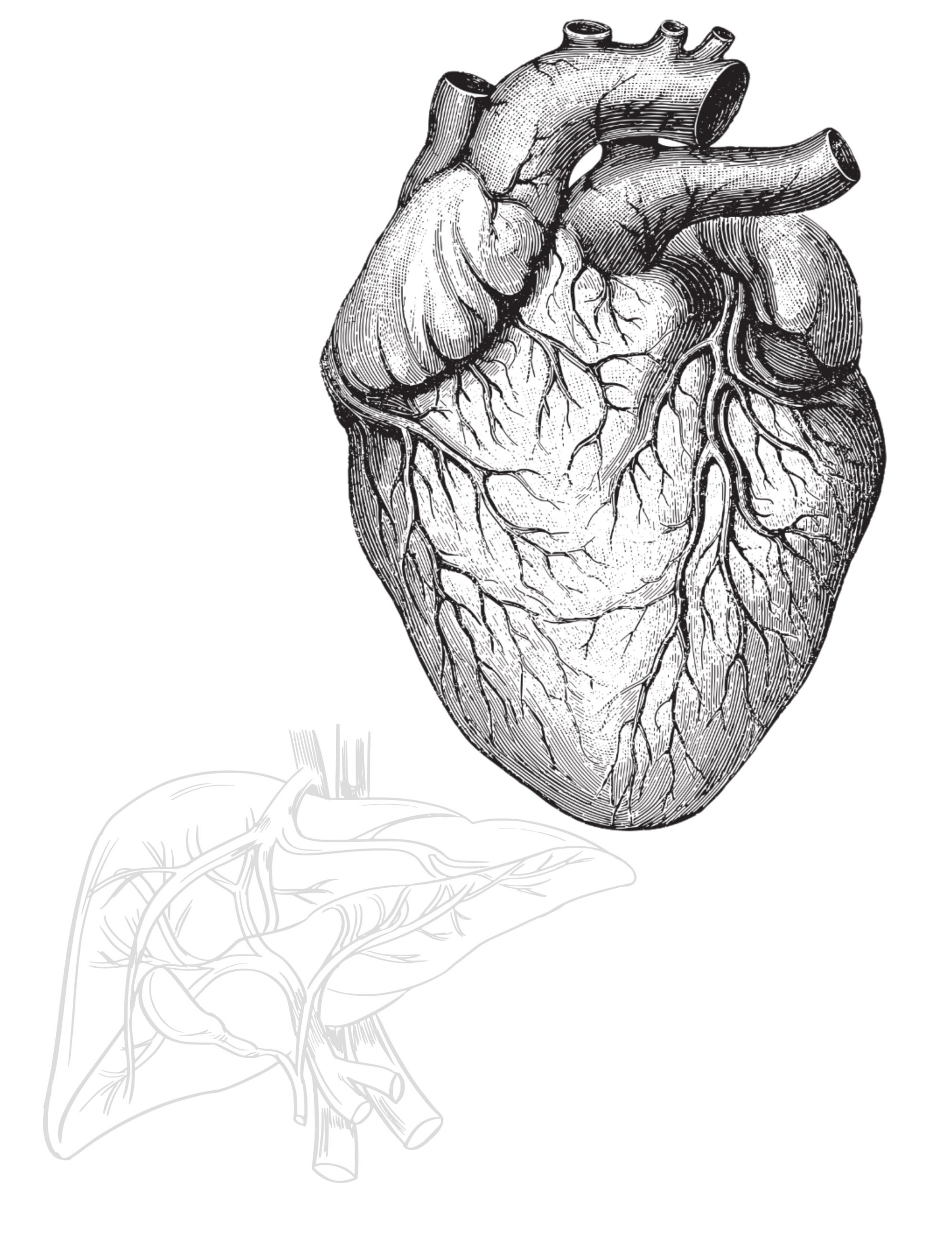 Lumen - Biologic Drug for Metabolic Disease by Lumen ...