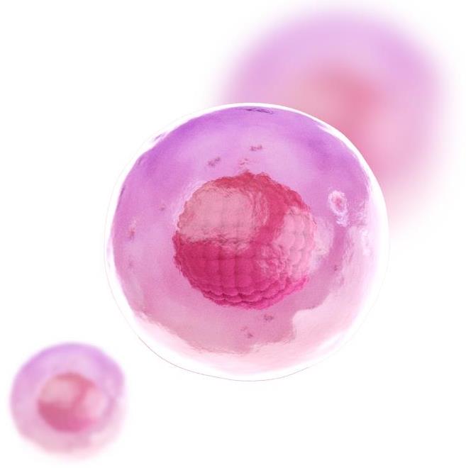 Label-free single cell analysis for cell therapy industry