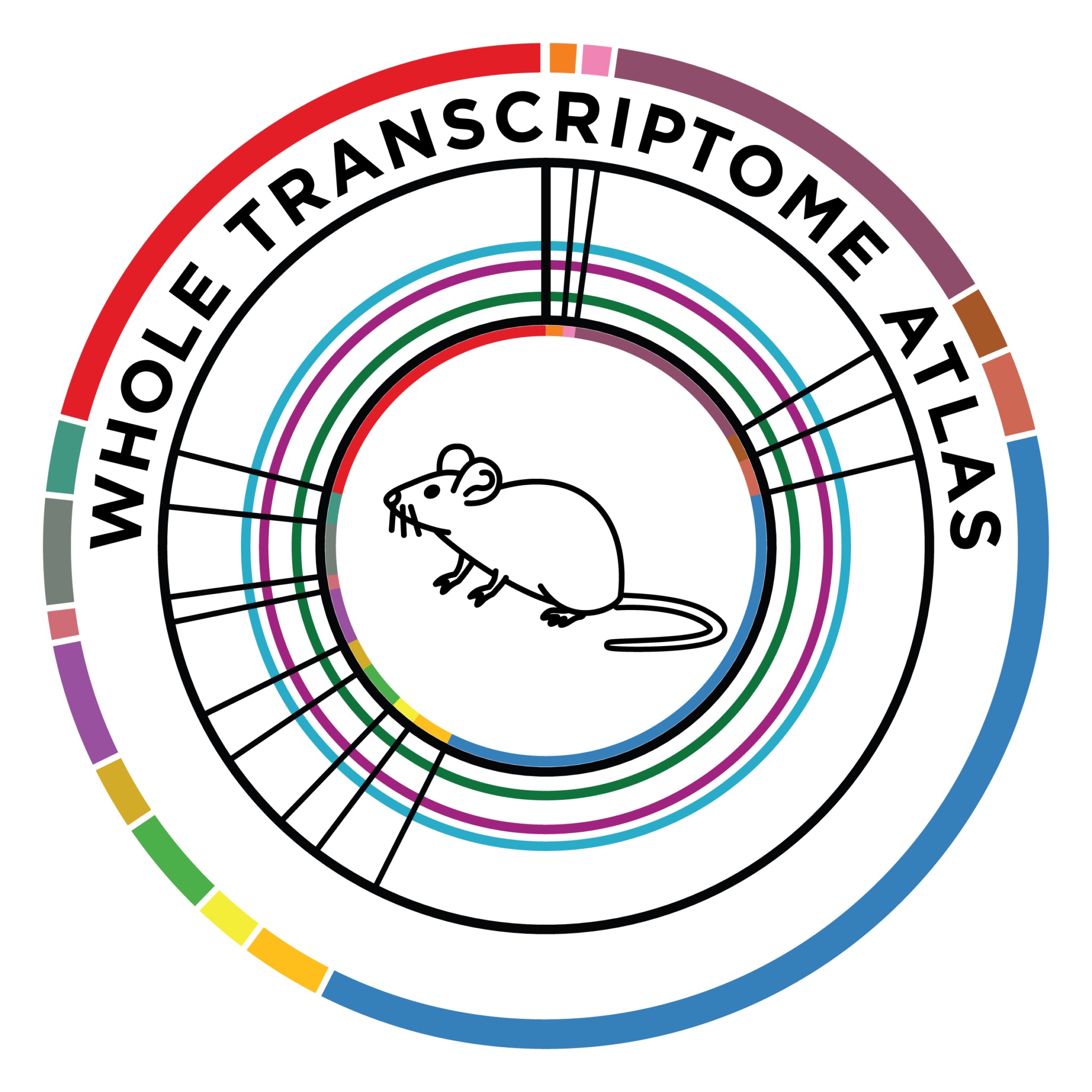 GeoMx - Assays - GeoMx RNA Assays - Mouse Whole Transcriptome ...