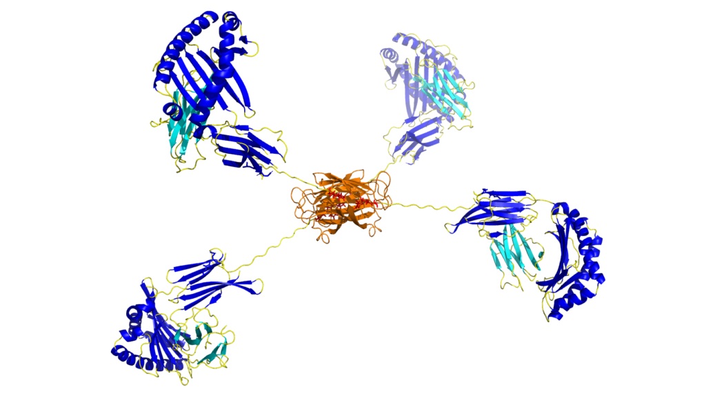 ProImmune - Human MR1 Tetramers by ProImmune Ltd.
