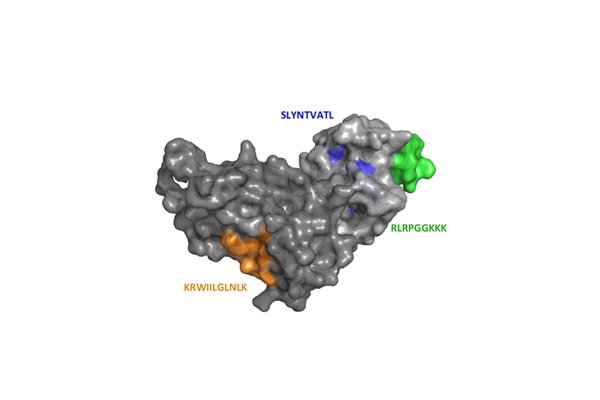 ProMix - Peptide Pools by ProImmune Ltd.