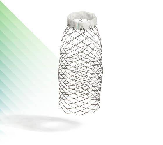 Artivion - AMDS - Thoracic Aorta Stent Graft Solutions