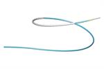 BeGraft Coronary Stent Graft System