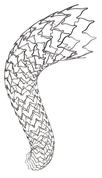 Besmooth Peripheral Stent System