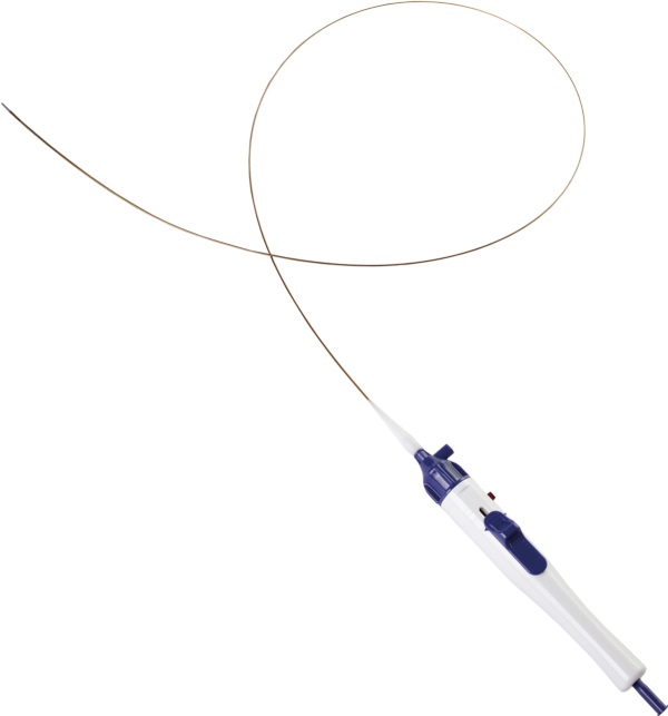 Beback - Crossing Catheter By Bentley Innomed Gmbh
