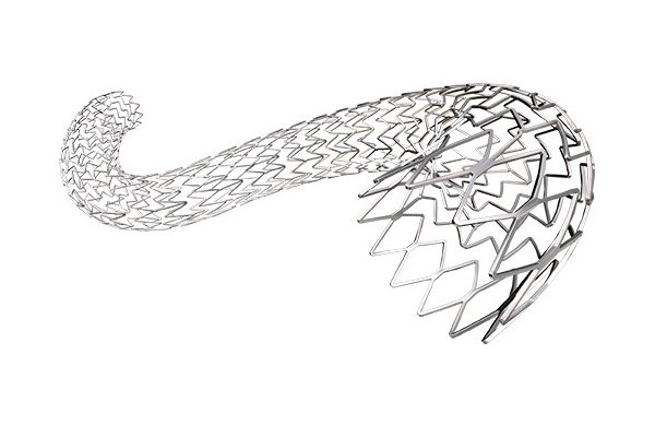 Beyond Venous Self-Expanding Stent System