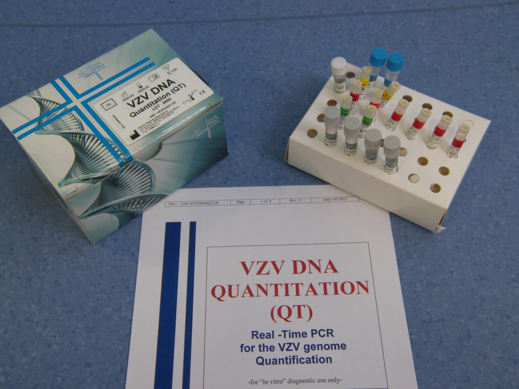 Trasplantation – PCR - VZV DNA – PCR by Dia.Pro Diagnostic ...