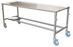600019-D - RTS - Standard Dissection Table With Drain Hole