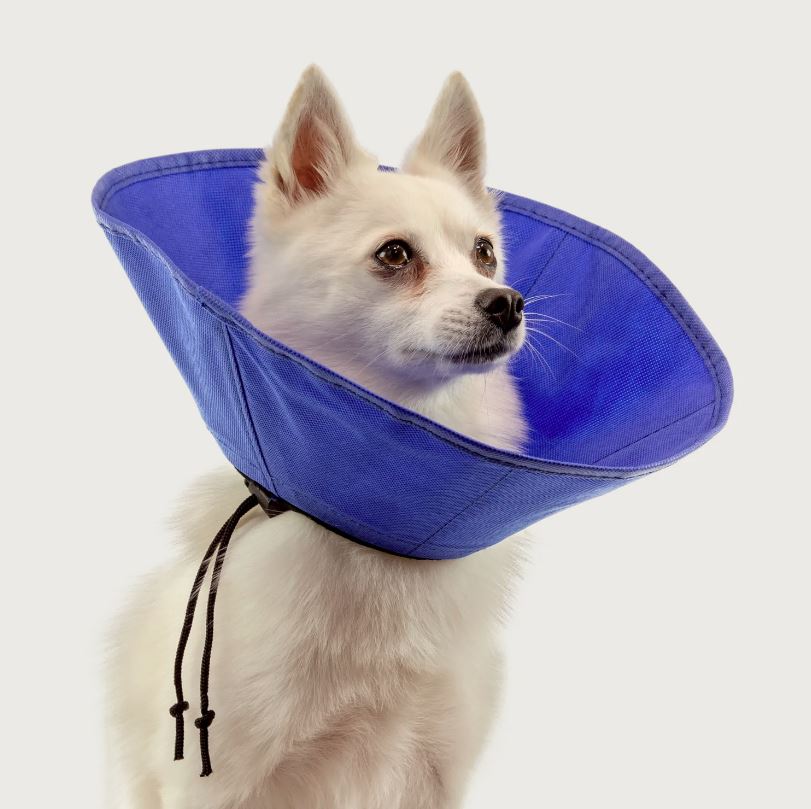 KVP - EZ Soft - PREFERRED - Collar By KVP International, Inc.