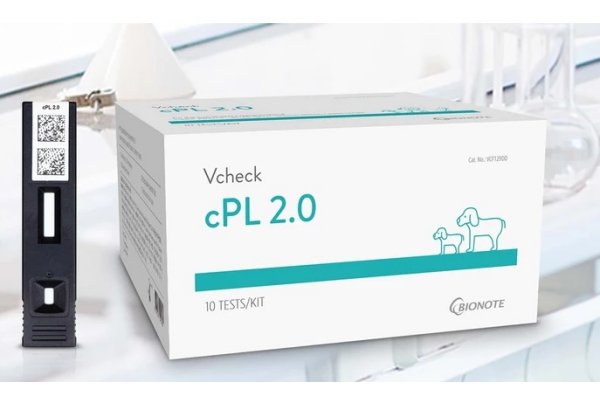 Bionote Vcheck Cpl Canine Acute Pancreatitis Test Kit