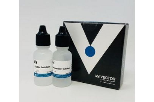 Vector - SP-200 - Blocking Reagents - Streptavidin/Biotin ...